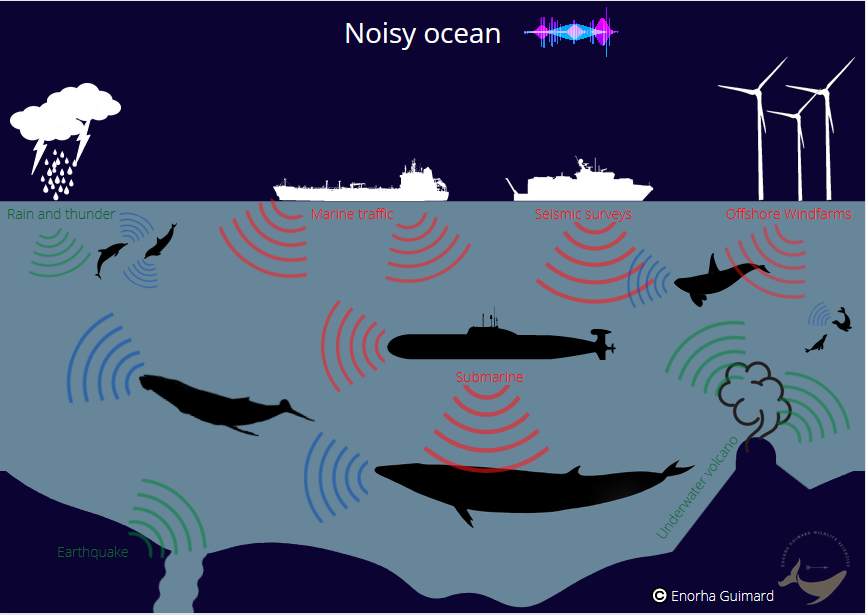 My design - Enorha Guimard